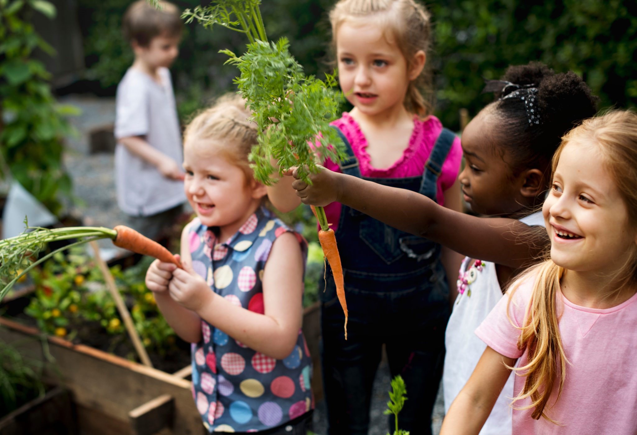 Classes | Hope Farms