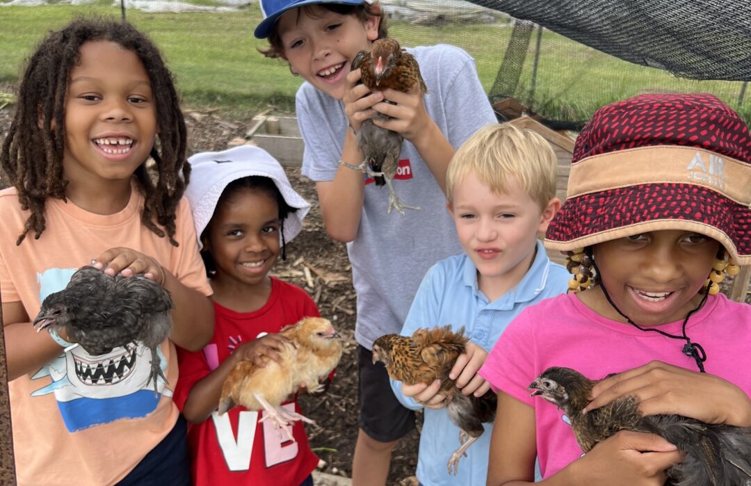 Classes - Hope Farms
